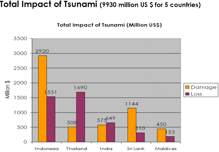 Indian Ocean Tsunami in 2004 Essay Example [903 Words] | EssayWriter